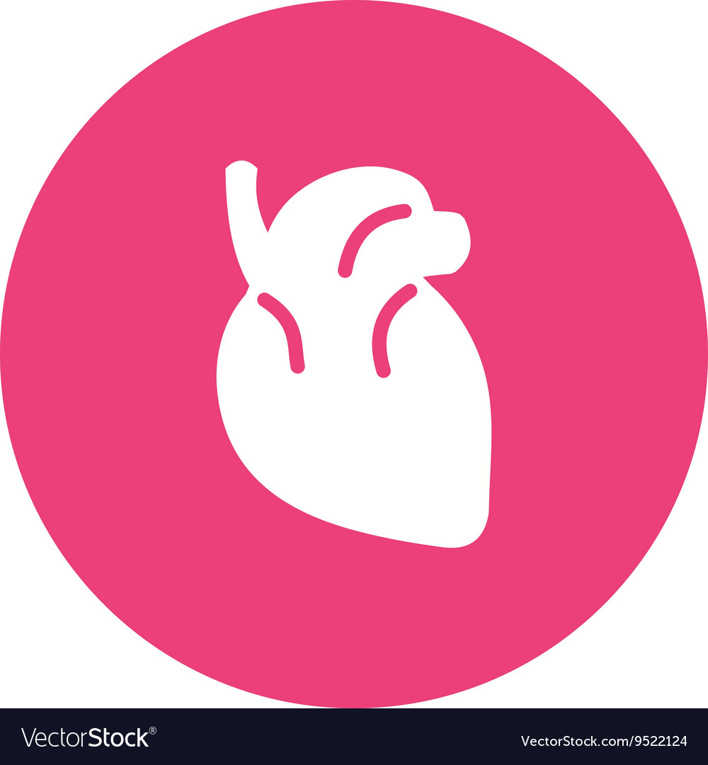 Heart Royalty Free Vector Image - VectorStock