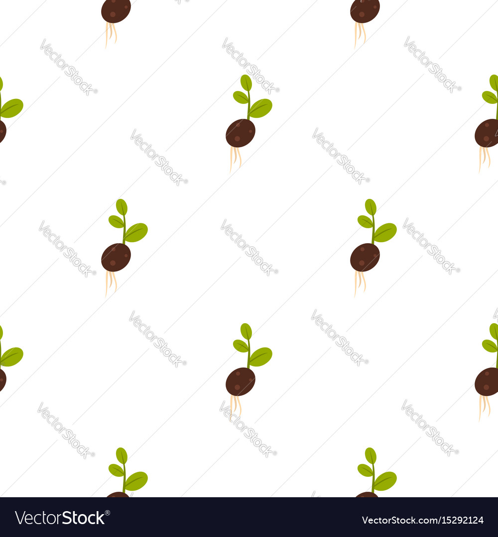 Sprout potatoes pattern flat Royalty Free Vector Image