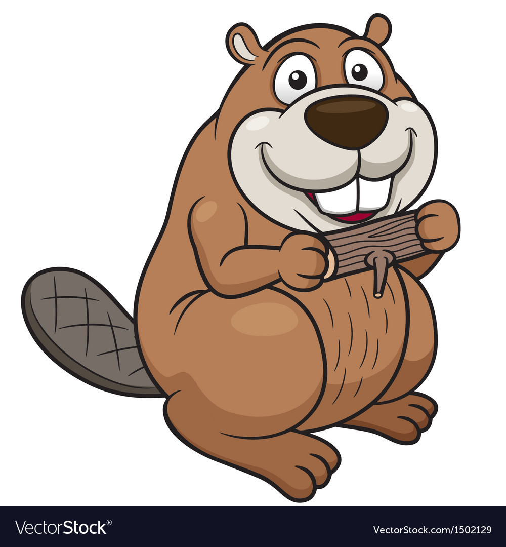 Beaver Royalty Free Vector Image - VectorStock