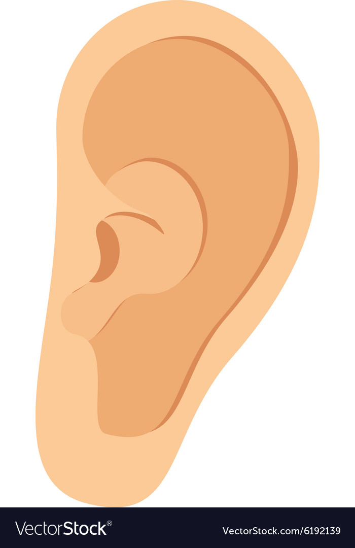Ear Royalty Free Vector Image - VectorStock
