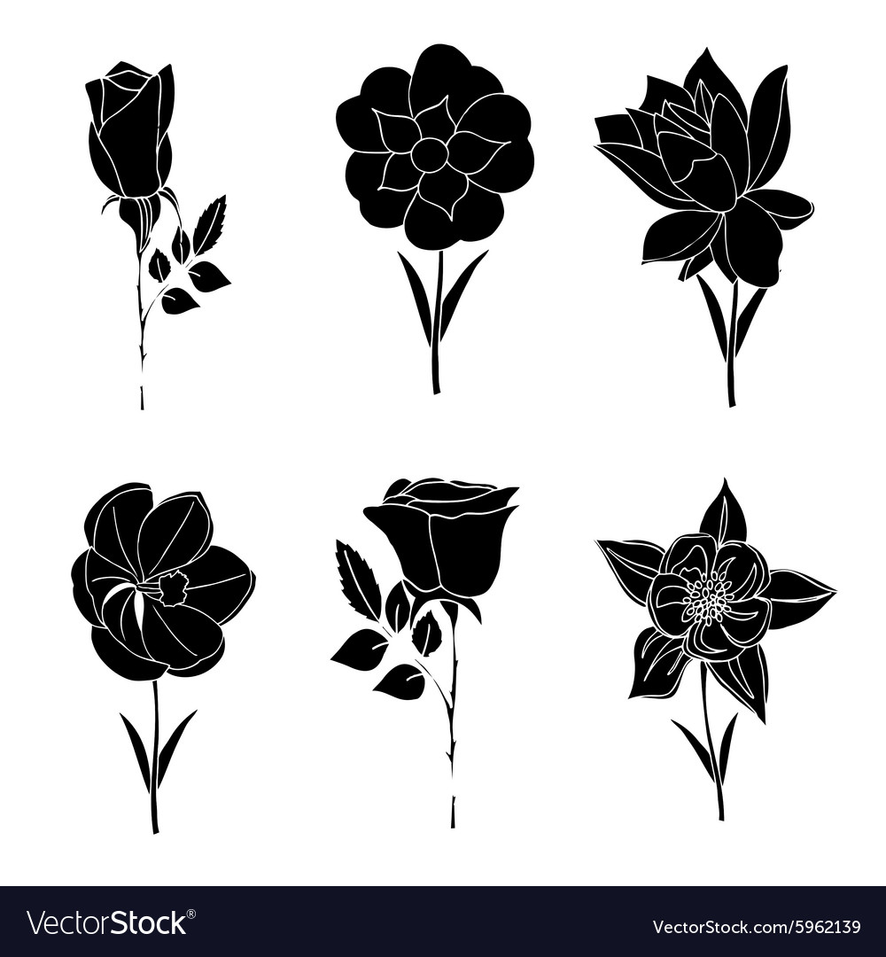 Set flowers Royalty Free Vector Image - VectorStock