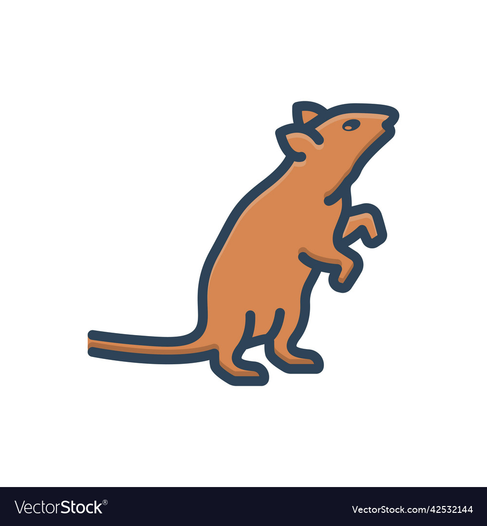 Rat Royalty Free Vector Image - VectorStock
