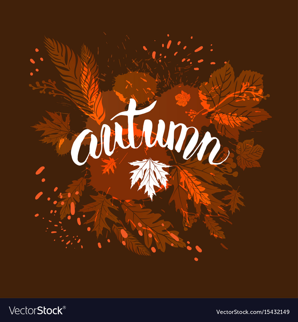 Fall leaves Royalty Free Vector Image - VectorStock