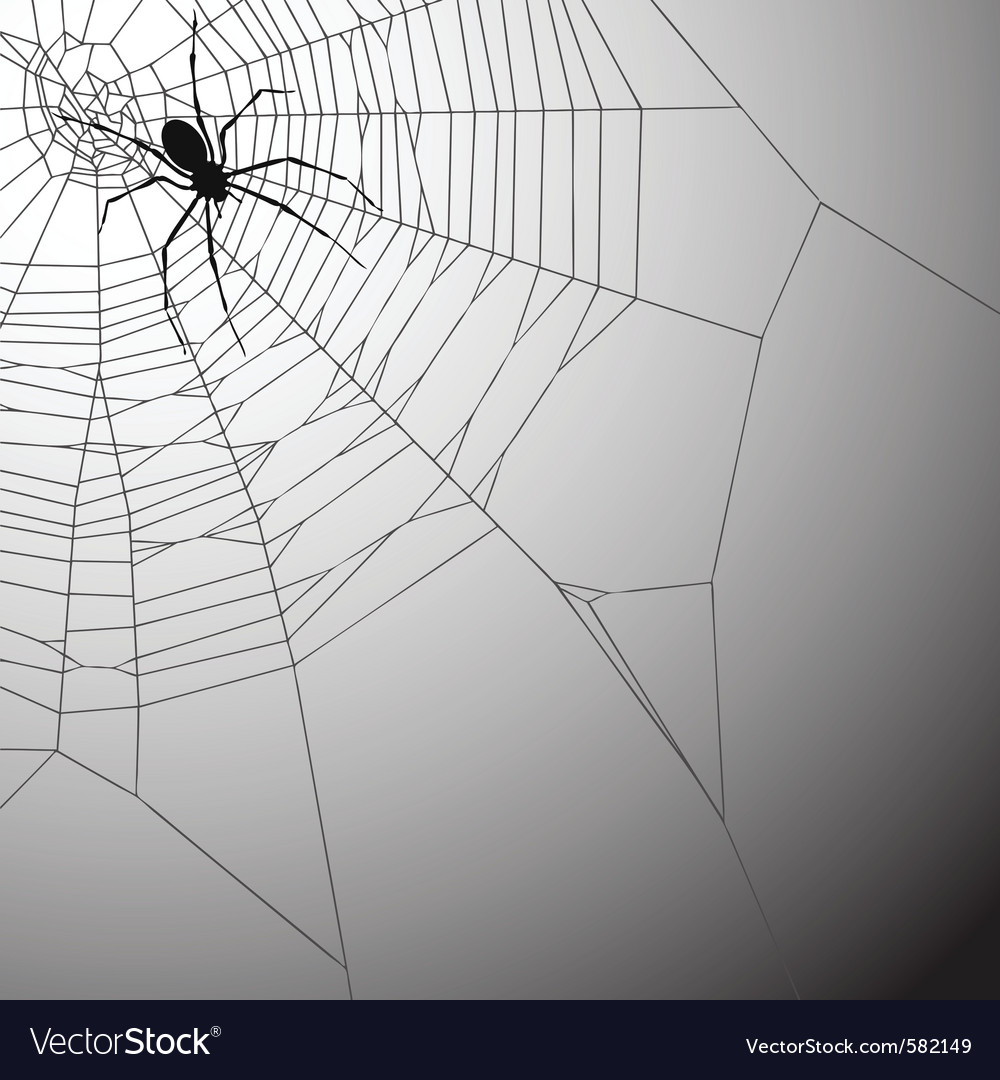 Spider Royalty Free Vector Image - VectorStock