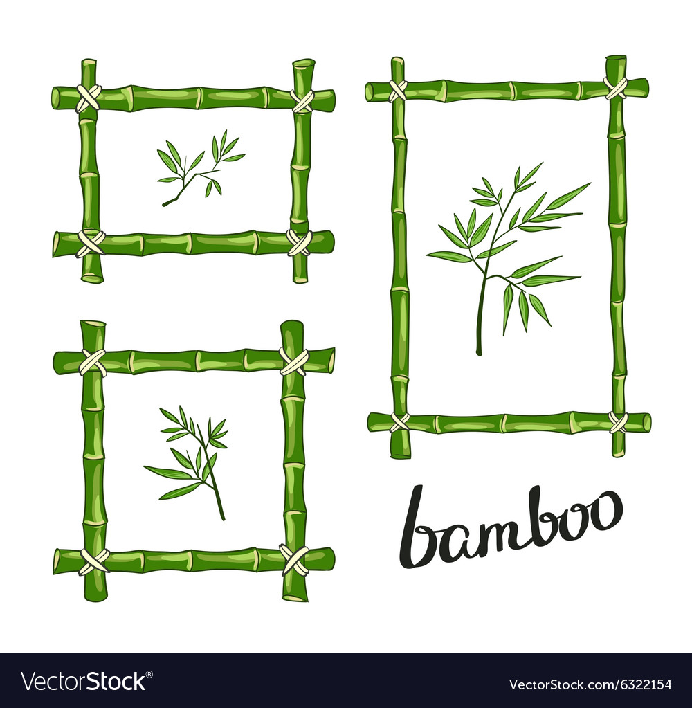 Green bamboo frames Royalty Free Vector Image - VectorStock