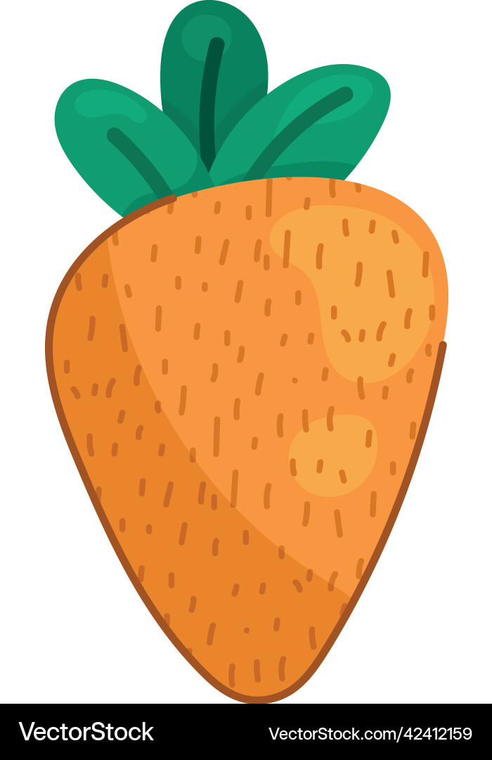 Fresh carrot vegetable Royalty Free Vector Image