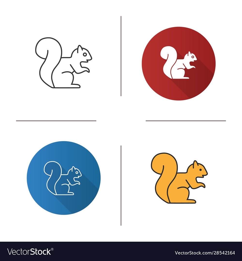Squirrel icon Royalty Free Vector Image - VectorStock