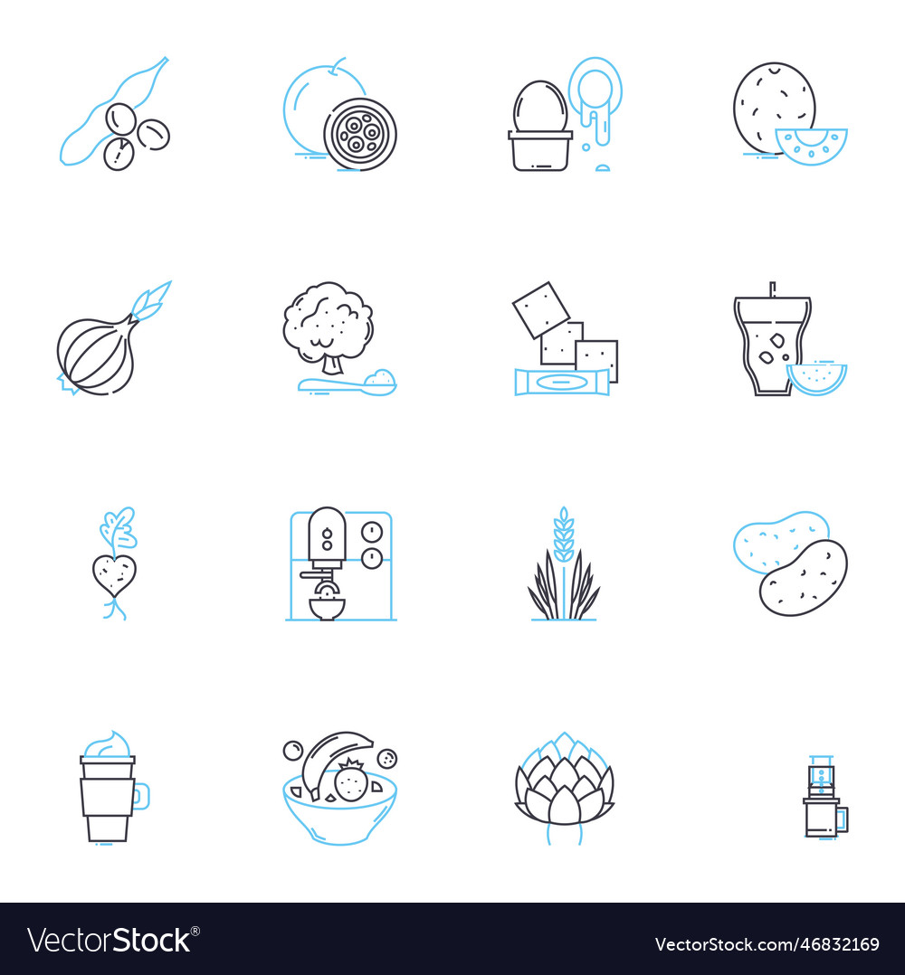 Balanced diet linear icons set nutrition health Vector Image