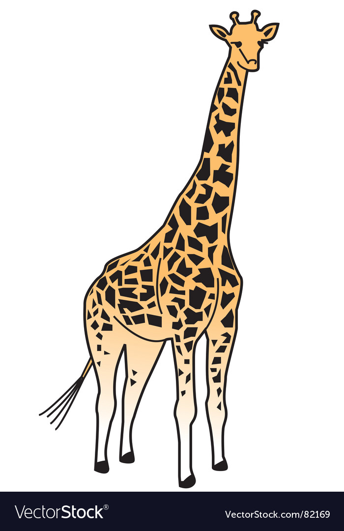 Giraffe Royalty Free Vector Image - VectorStock