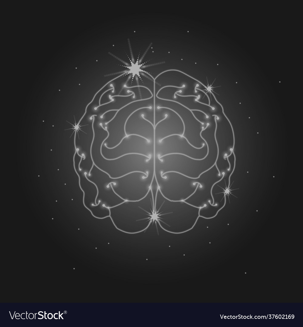Human nervous system Royalty Free Vector Image