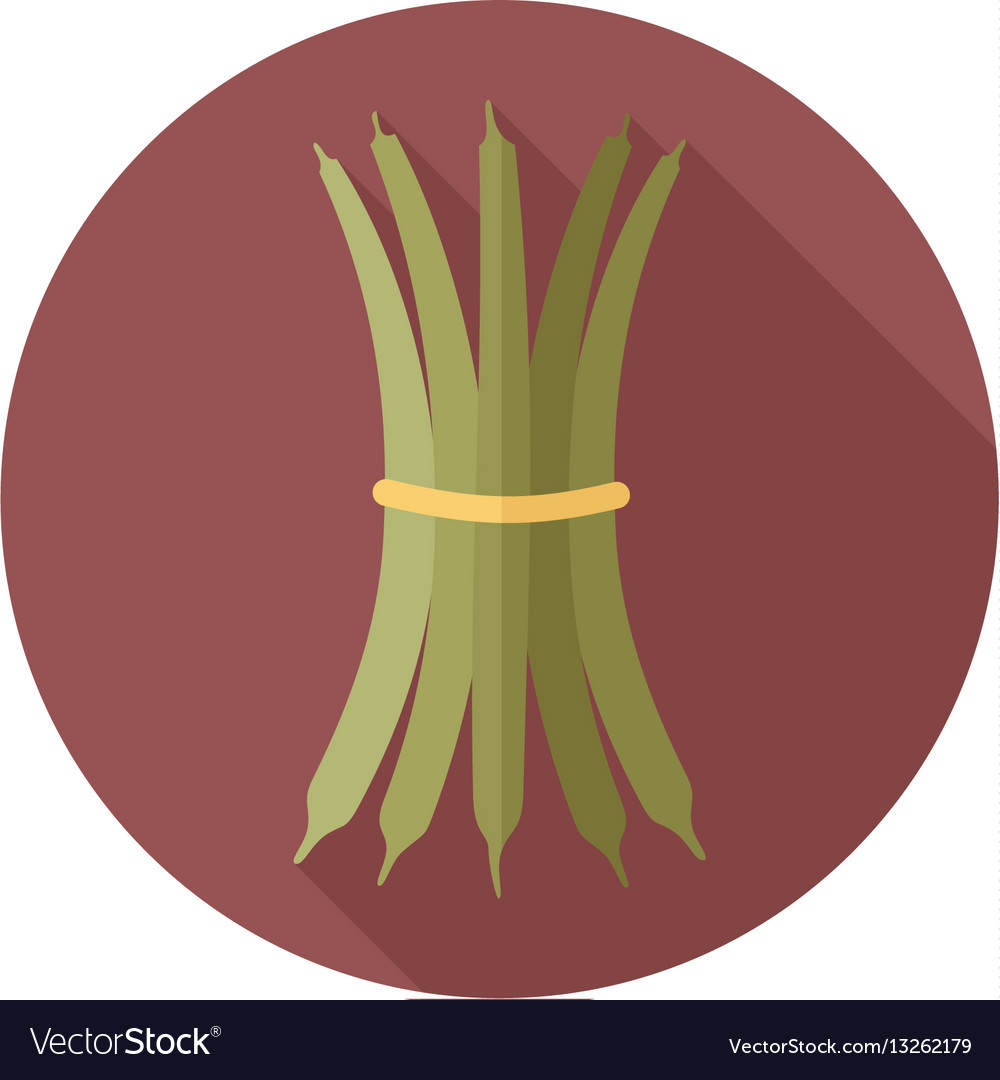 Green bean flat icon vegetable Royalty Free Vector Image