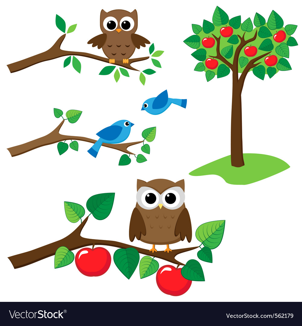 Set nature elements Royalty Free Vector Image - VectorStock