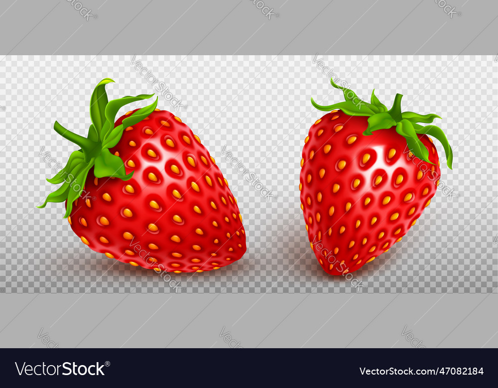 3d fly realistic isolated strawberry fruit icon Vector Image 3d fly realistic isolated strawberry fruit icon Vector Image