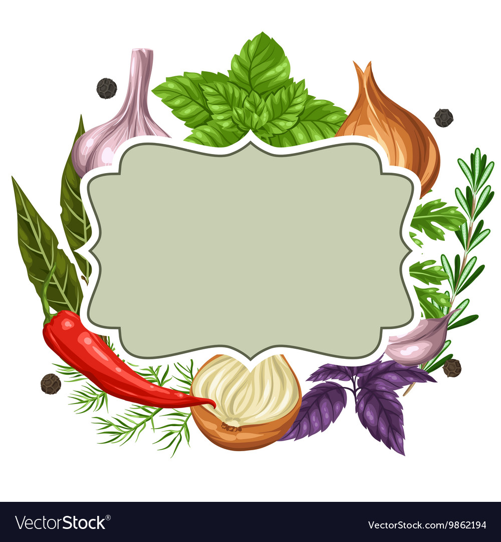 Frame design with various herbs and spices Vector Image Frame design with various herbs and spices Vector Image