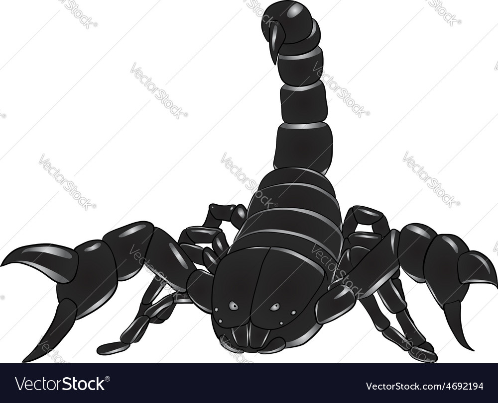Scorpion Royalty Free Vector Image - VectorStock