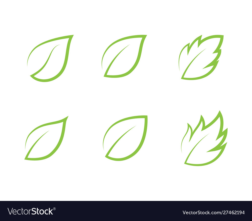 Tree leaf icon template Royalty Free Vector Image