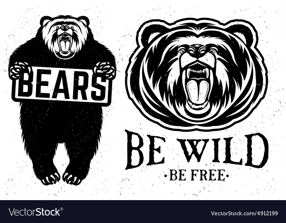 Bears logo Royalty Free Vector Image - VectorStock