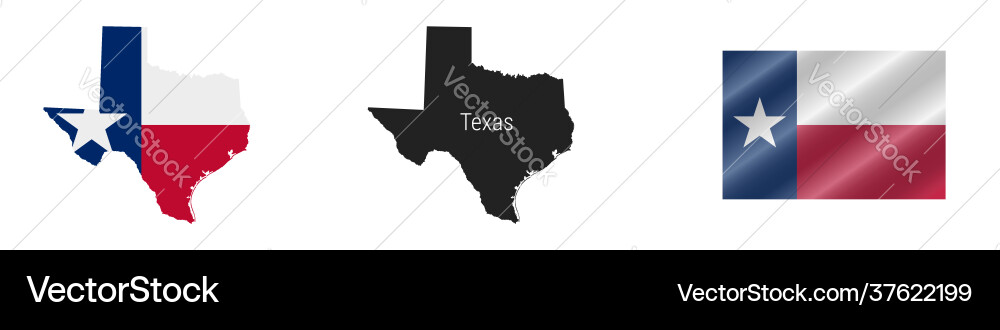 Texas us state detailed flag map Royalty Free Vector Image