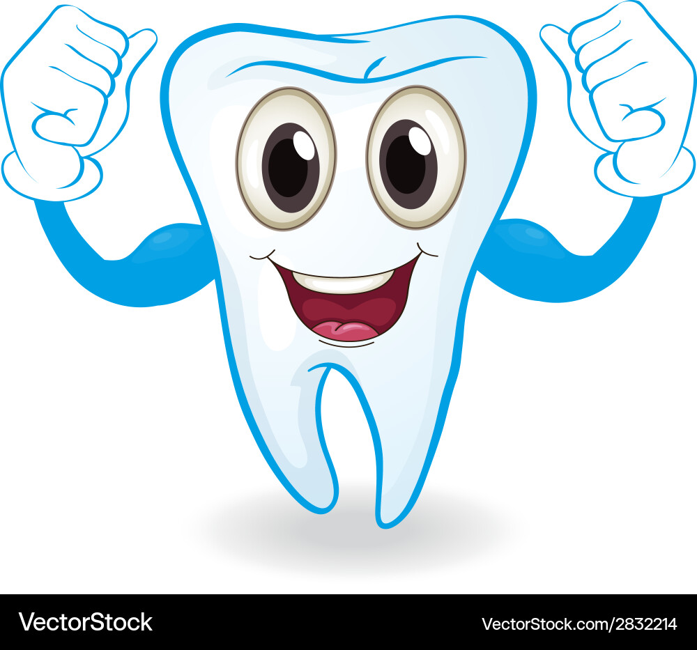 A strong tooth Royalty Free Vector Image - VectorStock