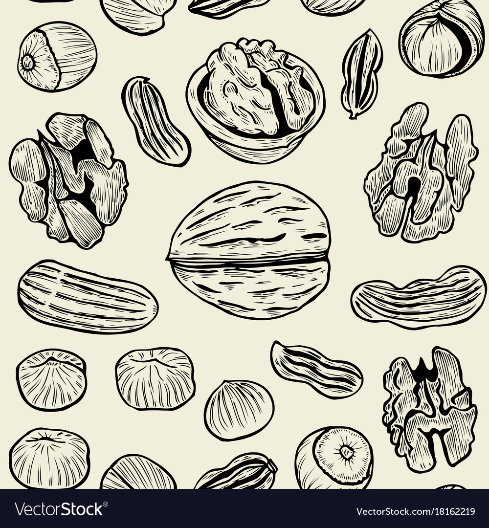 Walnut background pattern Royalty Free Vector Image