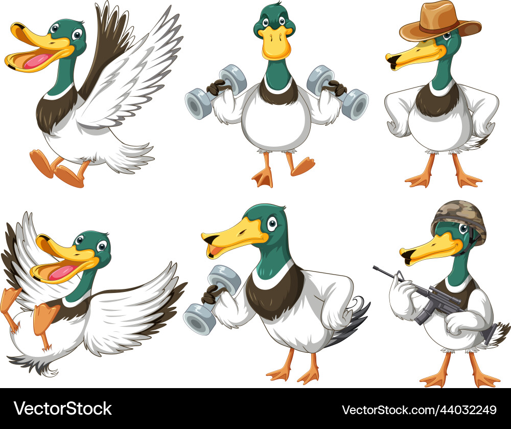 Set of different ducks cartoon character Vector Image