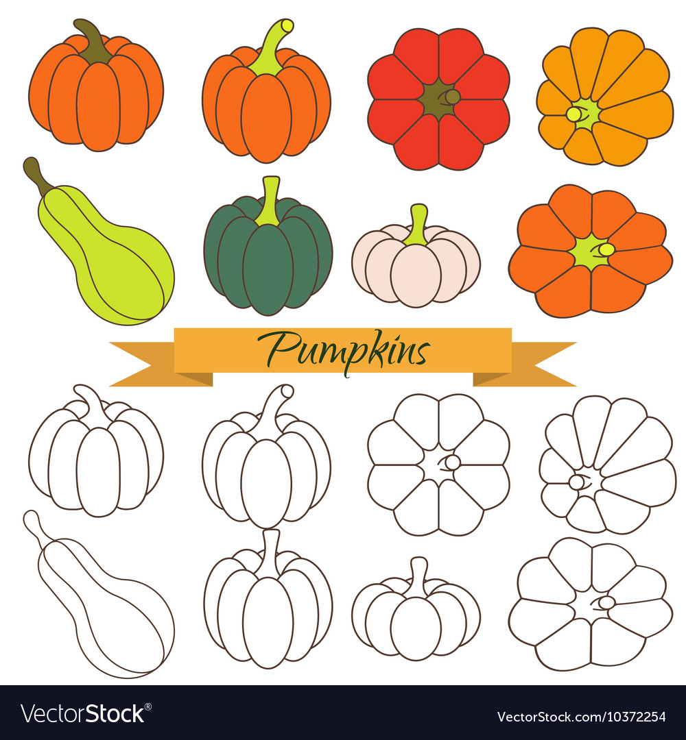 Set of pumpkin vegetable clip art Royalty Free Vector Image