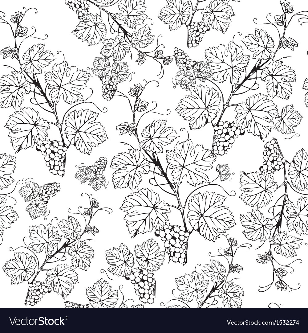 Grape seamless pattern Royalty Free Vector Image