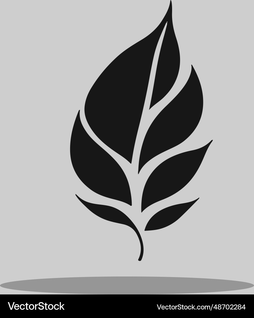 Leaf png Royalty Free Vector Image - VectorStock