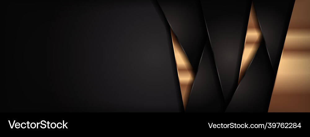 Modern dark brown and golden lines combination Vector Image