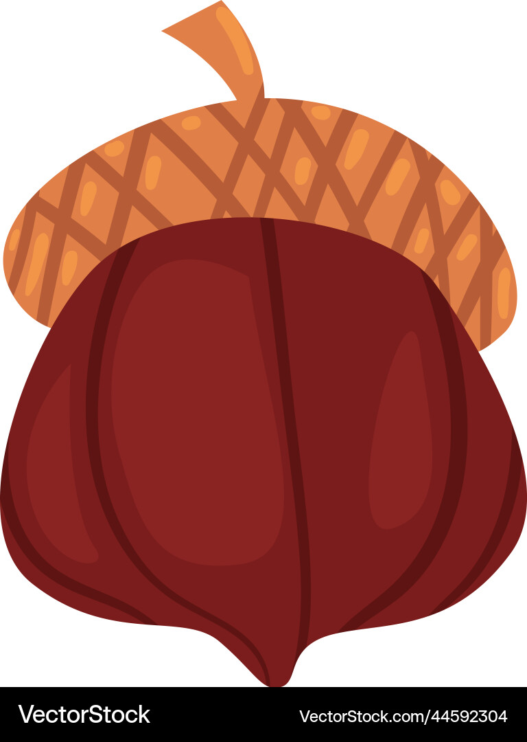 Flat fall acorn nut Royalty Free Vector Image - VectorStock