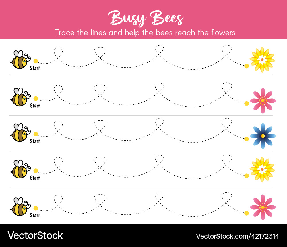 Educational worksheet for kids bee and flower Vector Image