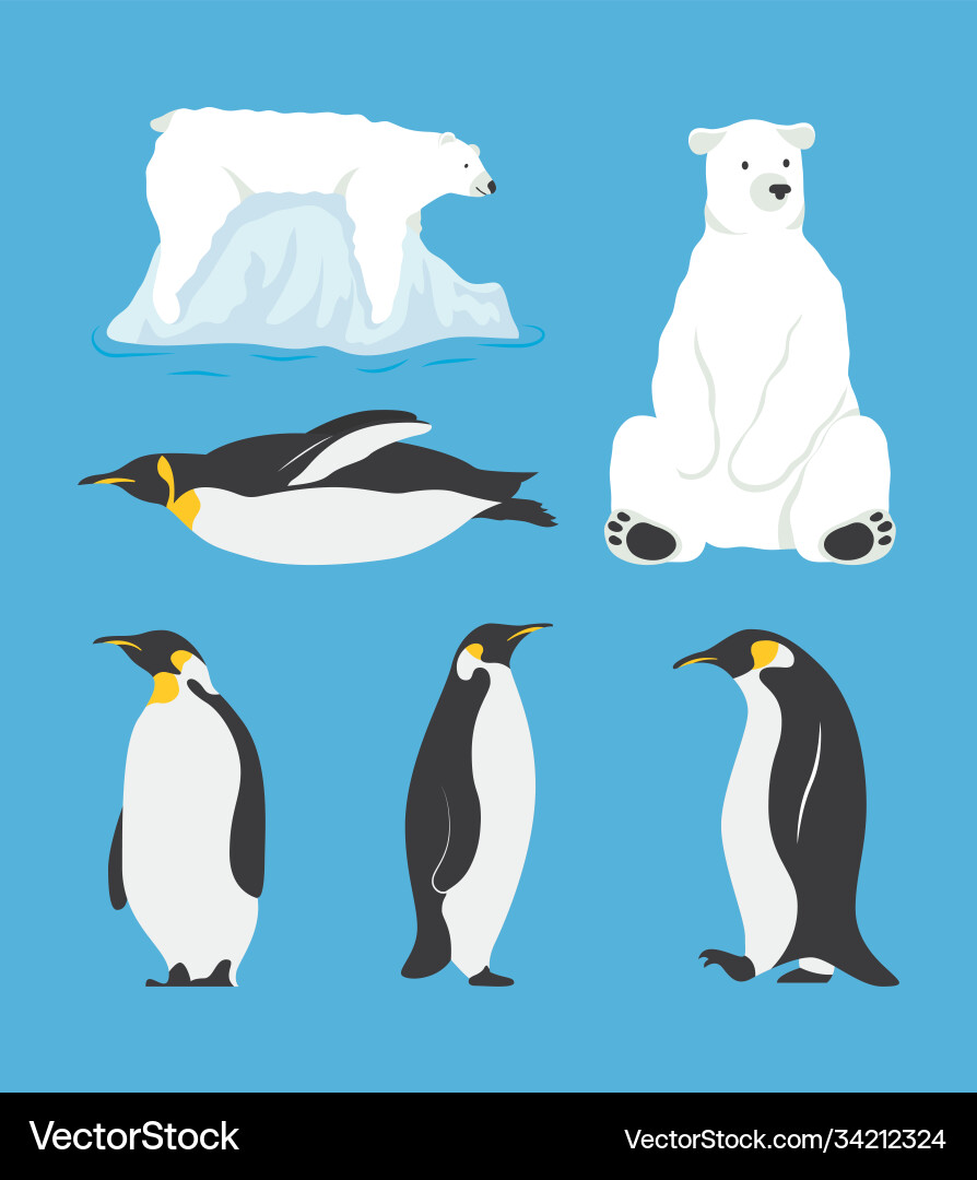 Group penguins birds and polar bears characters Vector Image