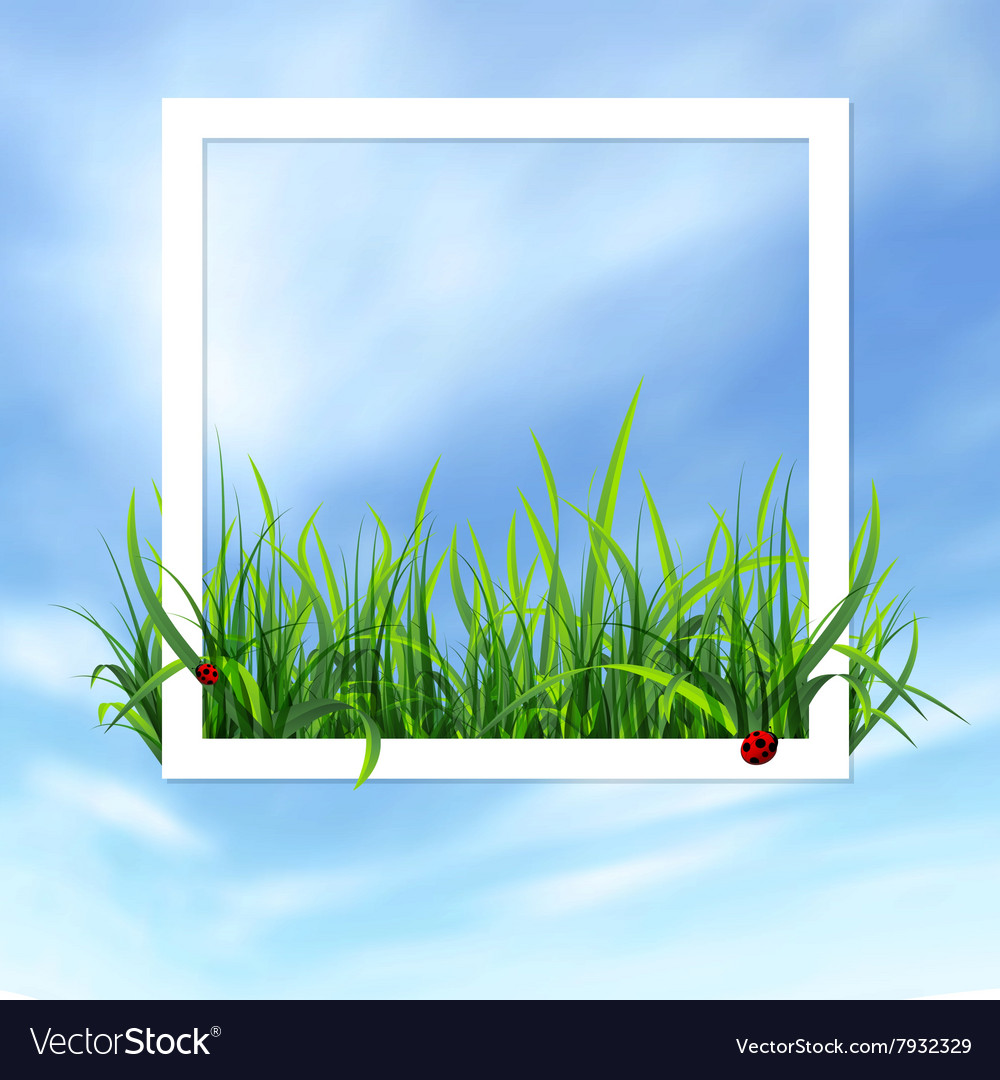 White window Royalty Free Vector Image - VectorStock