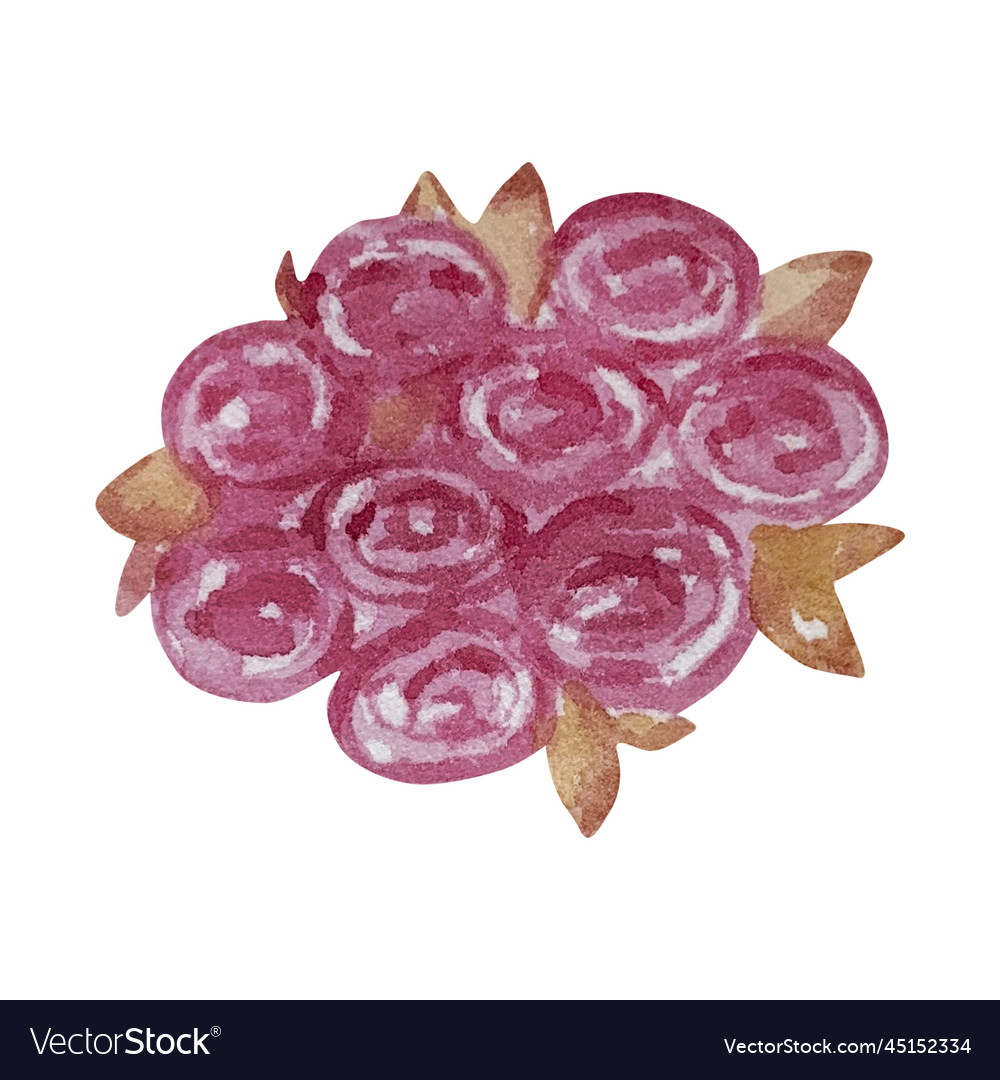 Watercolor valentines day bouquet of roses Vector Image