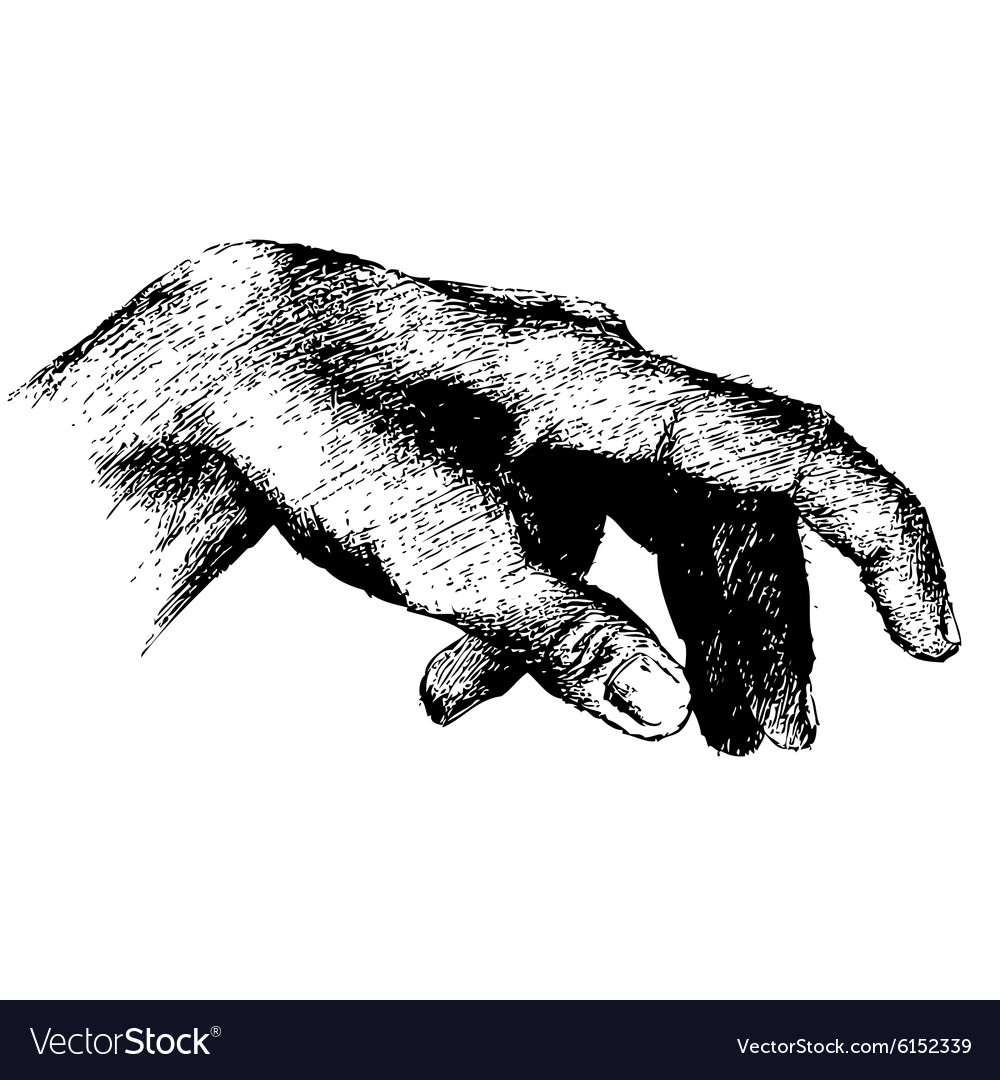 Hand Royalty Free Vector Image - VectorStock
