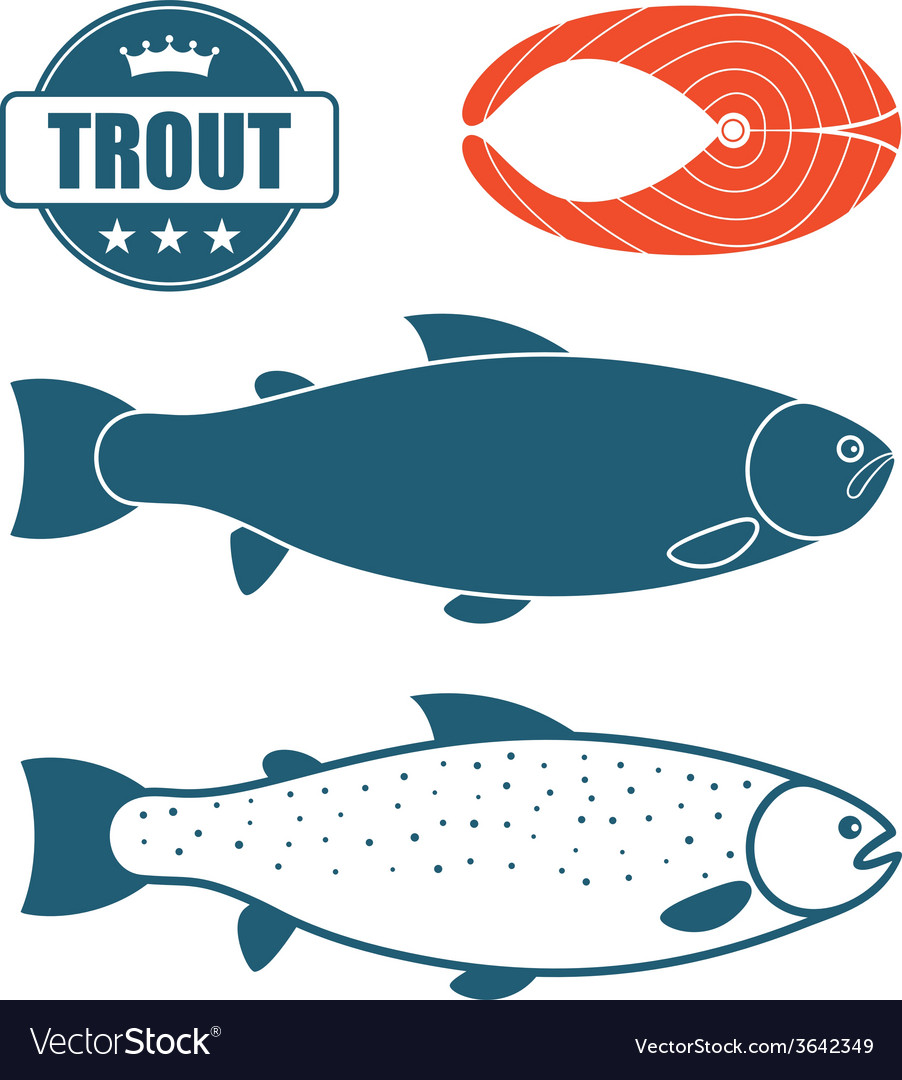 Trout Royalty Free Vector Image - VectorStock
