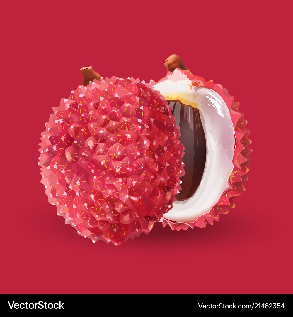 Lichee on red background Royalty Free Vector Image