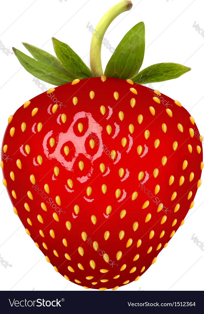 Strawberry Royalty Free Vector Image - VectorStock
