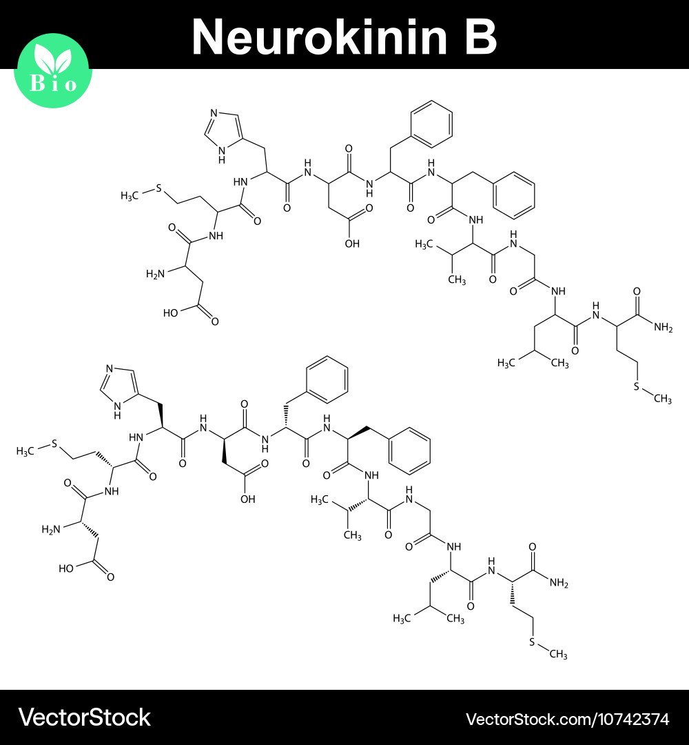 Neurokinin B chemical formula Royalty Free Vector Image