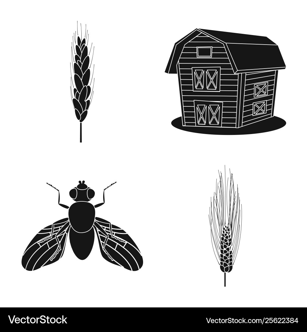 Design rye and plant symbol collection Royalty Free Vector
