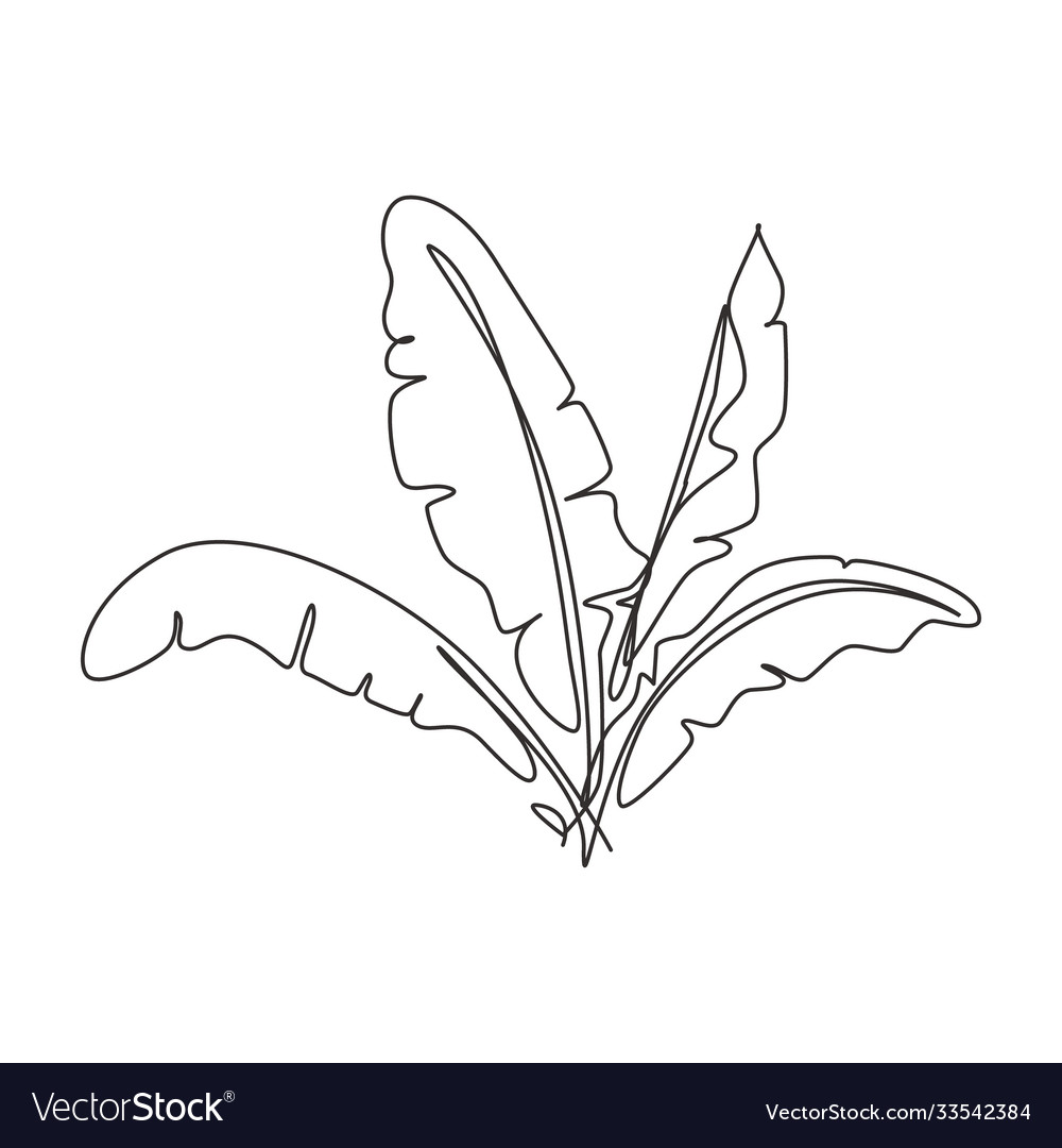 One continuous line drawing abstract tropical Vector Image