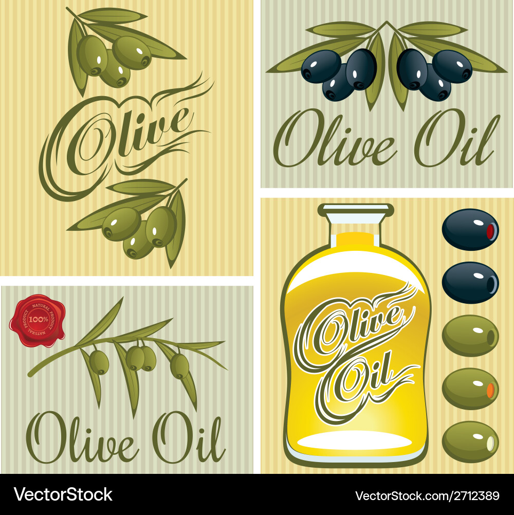 Set design elements for olive oil Royalty Free Vector Image