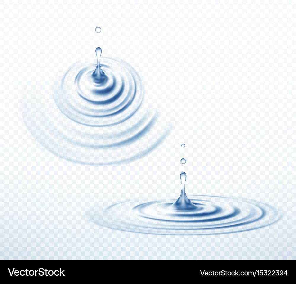 Realistic transparent drop and circle ripples set Vector Image