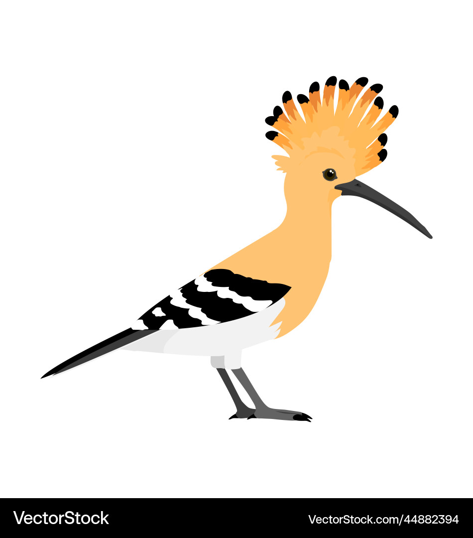Upupa epops - eurasian hoopoe - side view - flat Vector Image