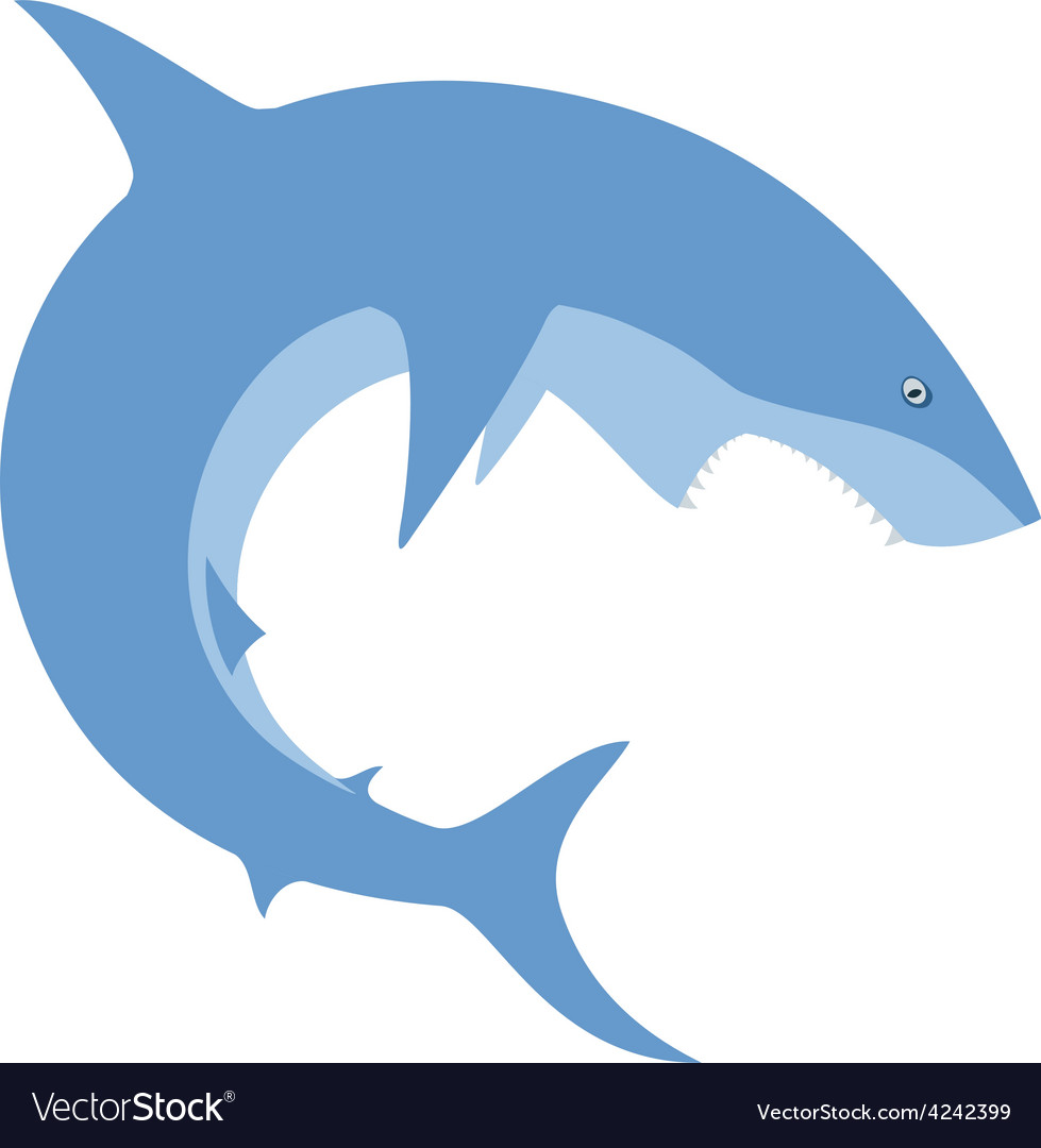 Shark Royalty Free Vector Image - VectorStock