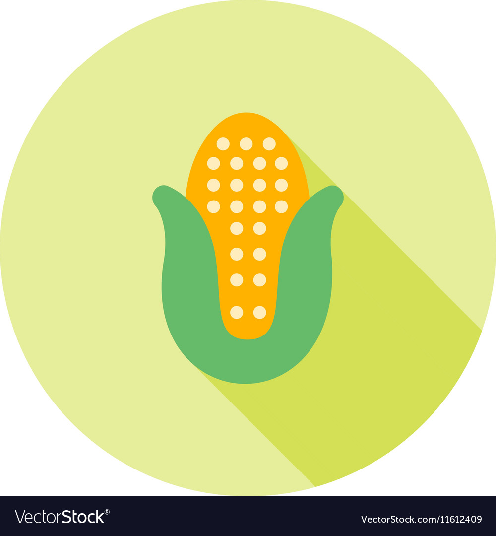 Corn Royalty Free Vector Image - VectorStock