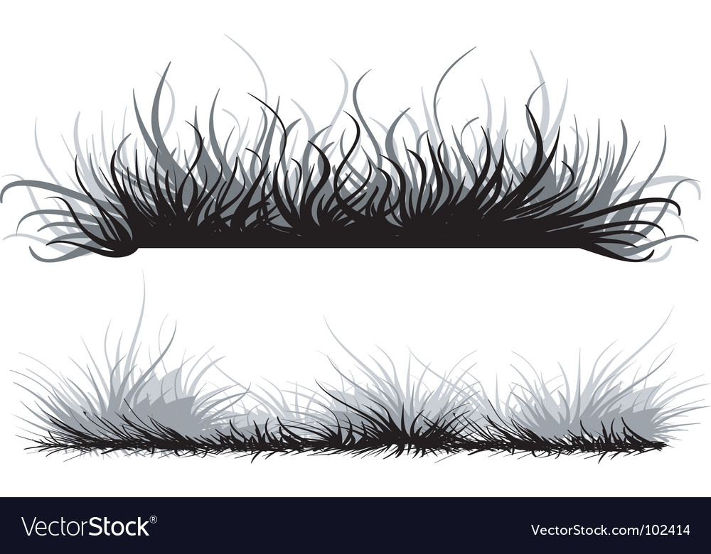 Grass Royalty Free Vector Image - VectorStock