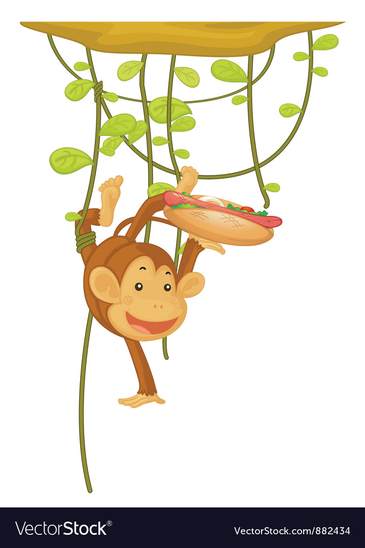 Monkey Royalty Free Vector Image - VectorStock