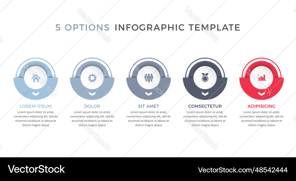 Infographic template - 5 elements Royalty Free Vector Image