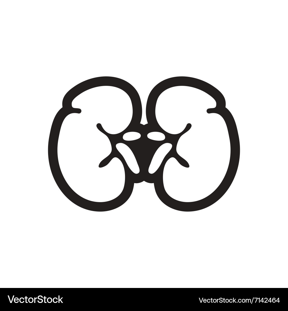Stylish black and white icon human kidney Vector Image